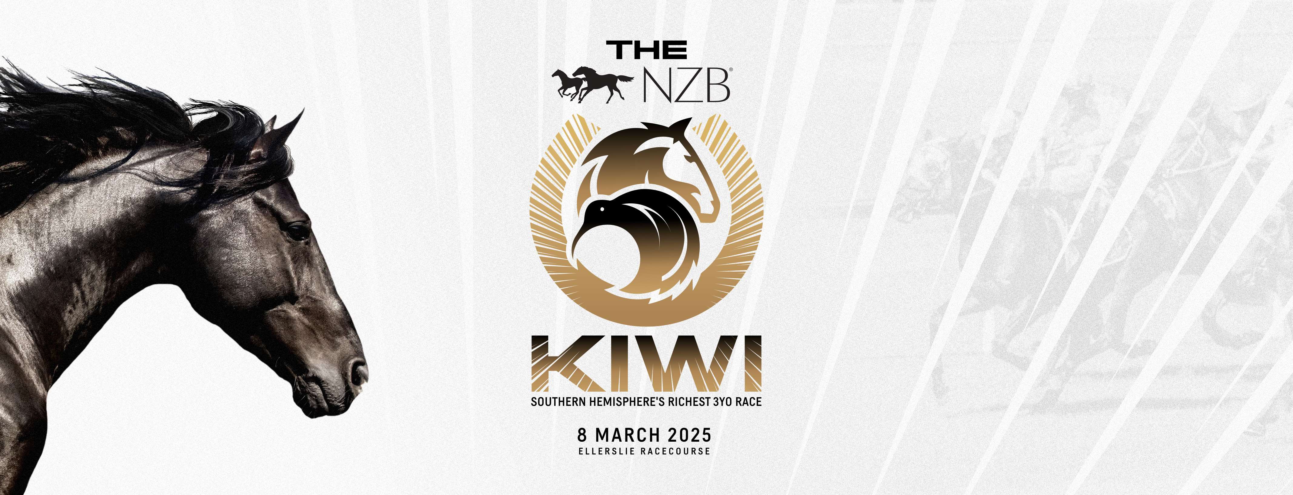 NZB Kiwi - The Kiwi Race