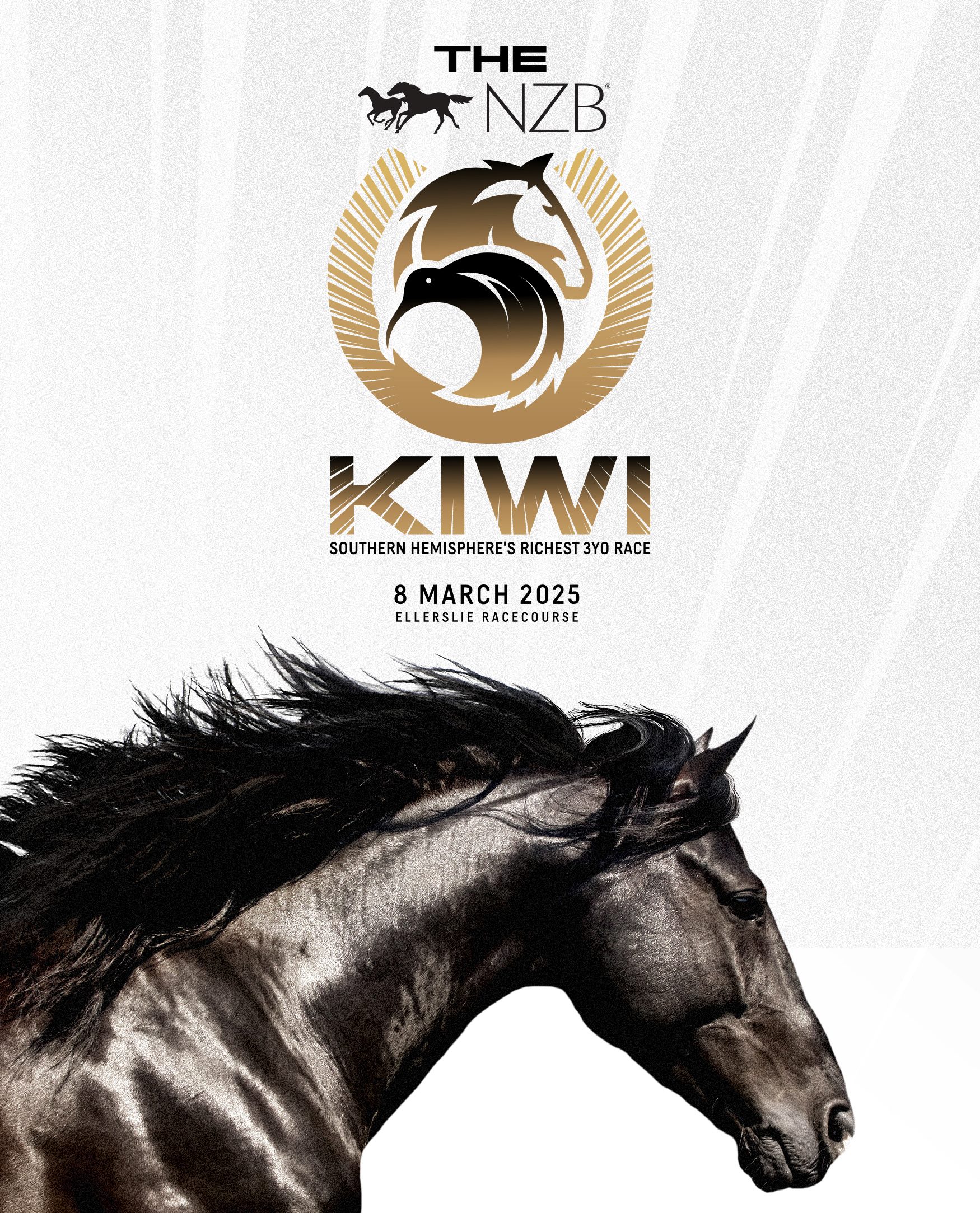 NZB Kiwi - The Kiwi Race