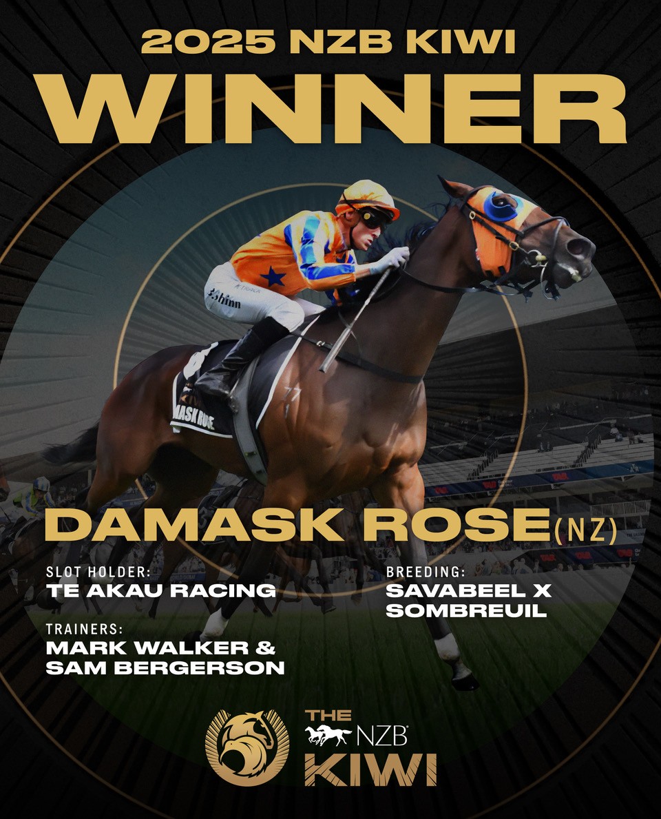 NZB Kiwi - The Kiwi Race