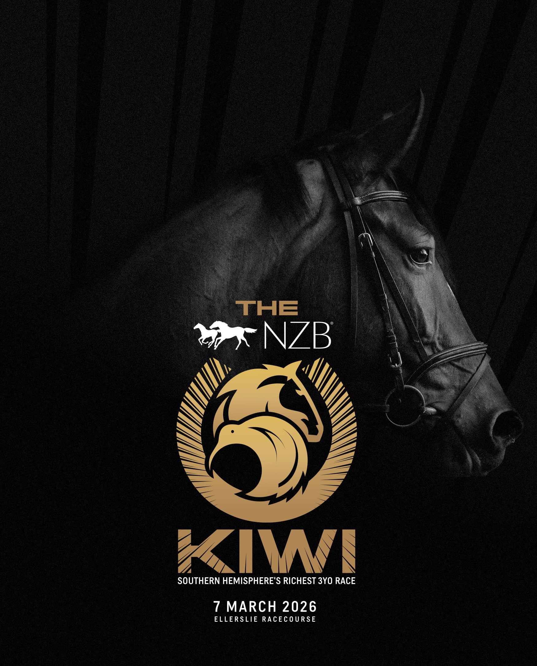 NZB Kiwi - The Kiwi Race